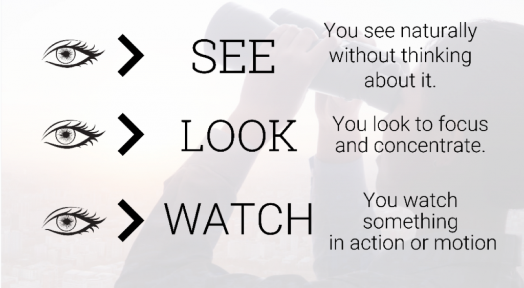 Phân biệt See Look Watch chuẩn xác nhất - Obie World English